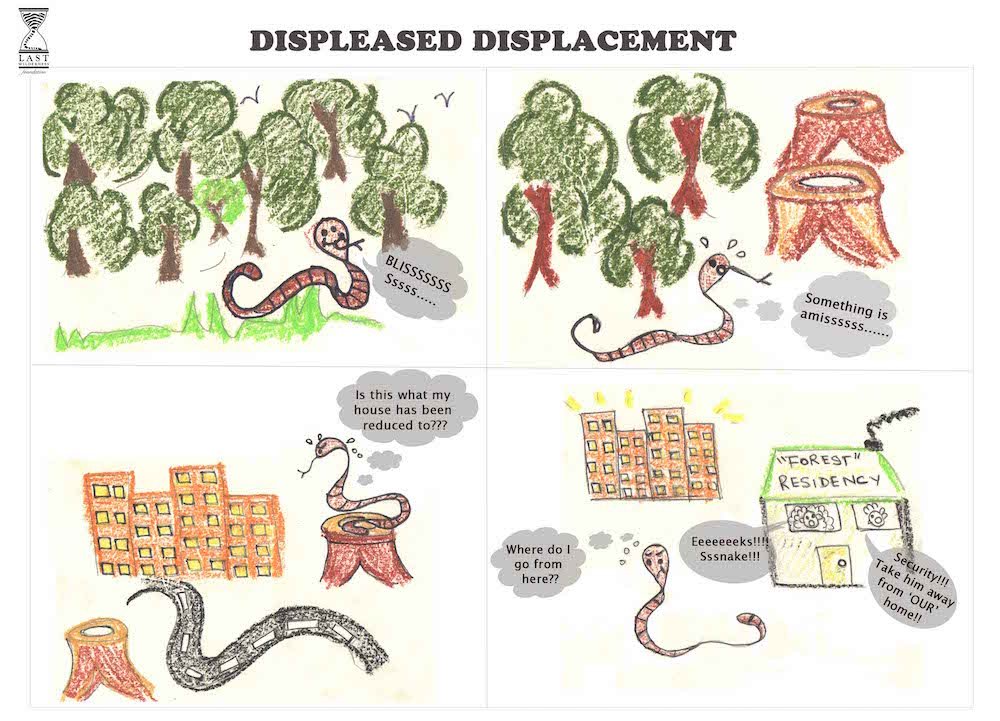 Edutainment – Last Wilderness Foundation