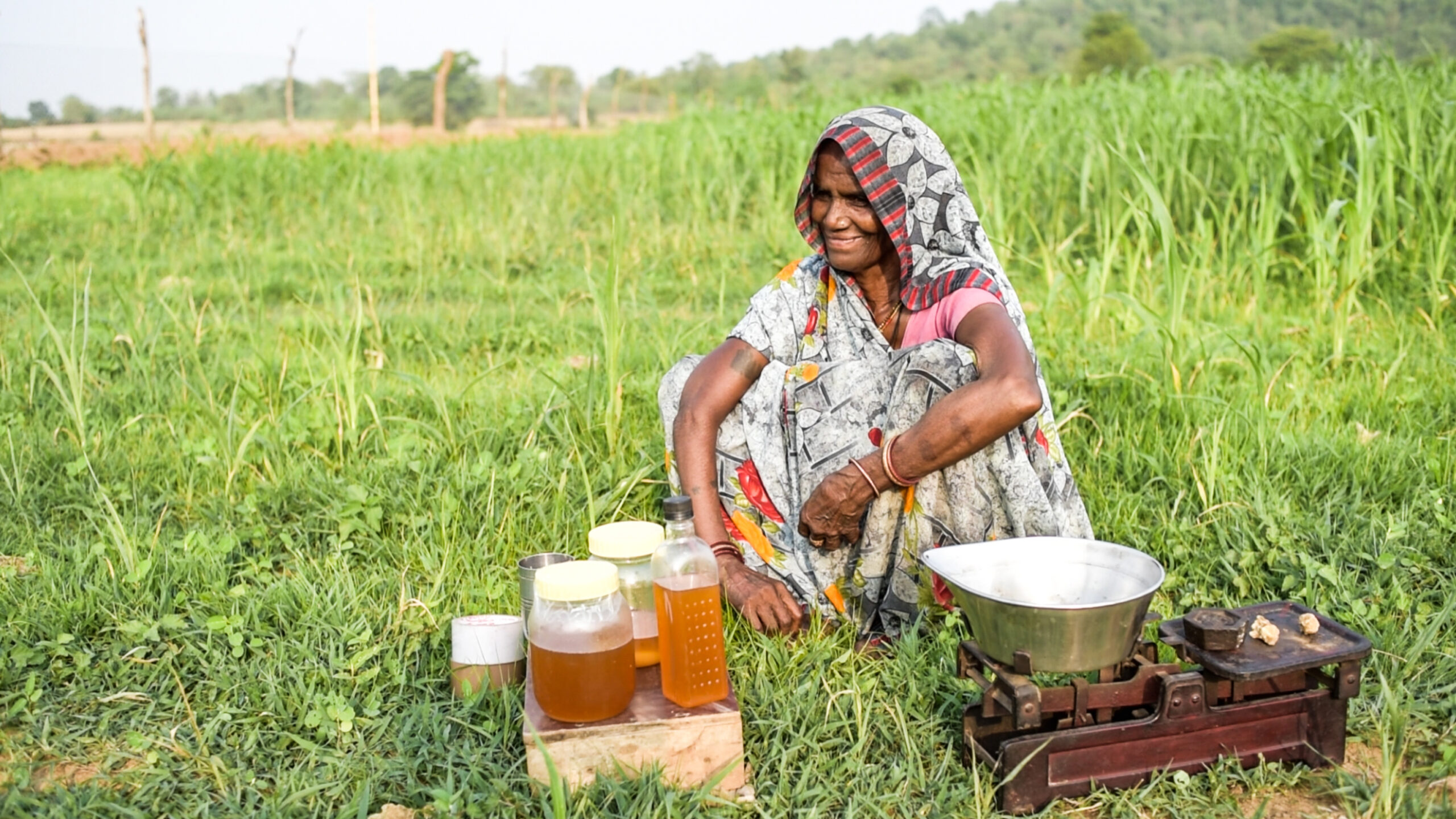 Protection of Wildlife Corridor via Reforestation and Alternative ...