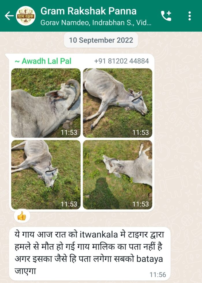 Gram Rakshak Project, Panna TR 2022-23 – Last Wilderness Foundation